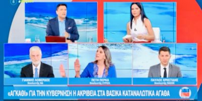 Η Πέτη Πέρκα στο MEGA: «Τα δάκρυα της ΝΔ για την ασυδοσία στην εργασία ...
