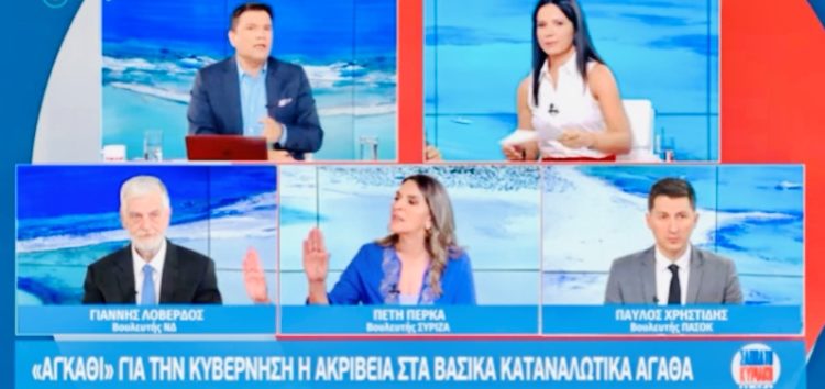 Η Πέτη Πέρκα στο MEGA: «Τα δάκρυα της ΝΔ για την ασυδοσία στην εργασία ...