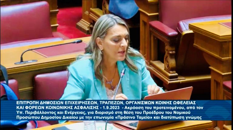 Π. Πέρκα: «Οι αστοχίες της κυβέρνησης στον τομέα του περιβάλλοντος και ...