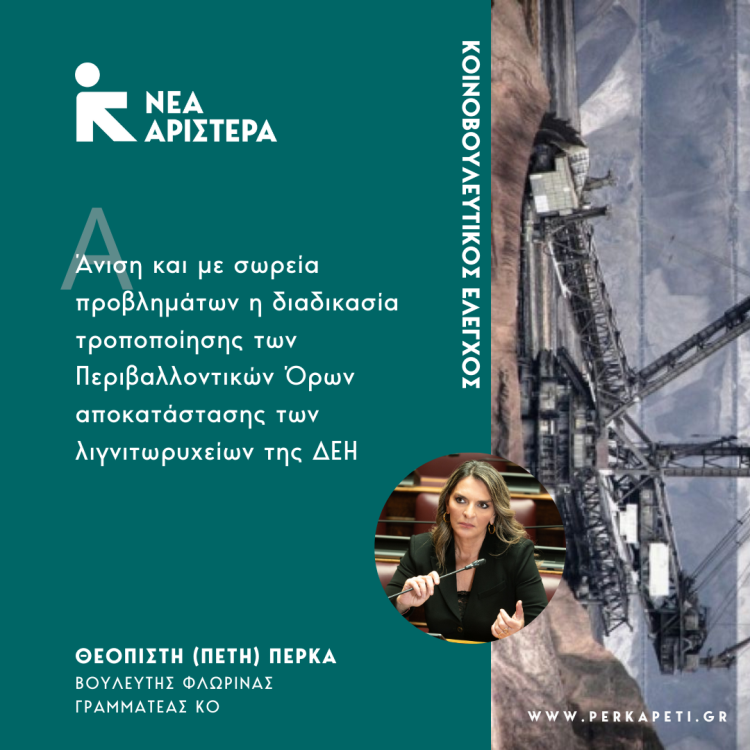 Πέτη Πέρκα: "Άνιση και με σωρεία προβλημάτων η διαδικασία τροποποίησης ...